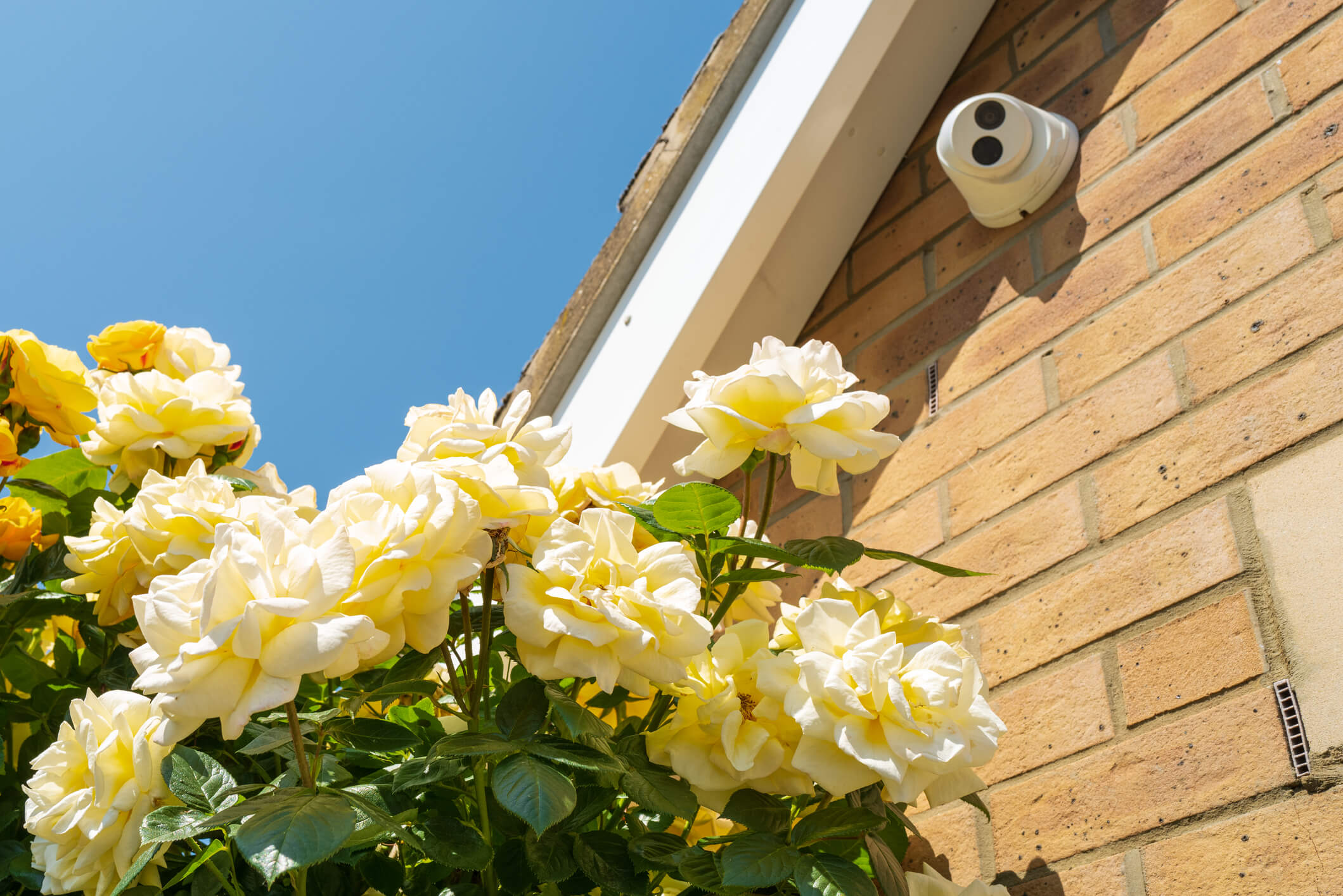 HOME SECURITY TIPS: PROTECT YOUR HOME THIS SUMMER - Tysers Insurance ...